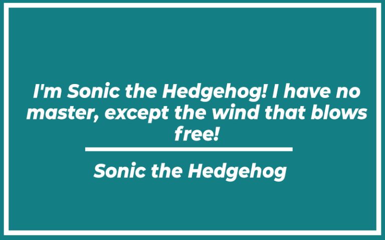 113+ Top Sonic Quotes (with Commentary) - Burning For Success