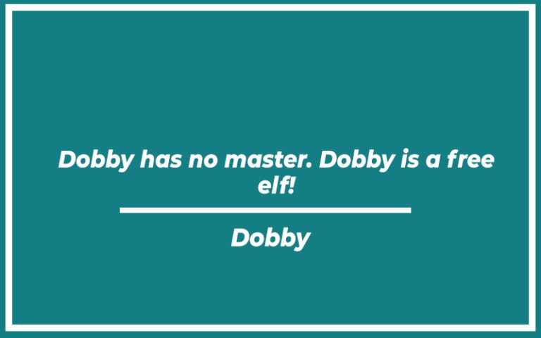 113+ Top Dobby Quotes (with Commentary) - Burning For Success