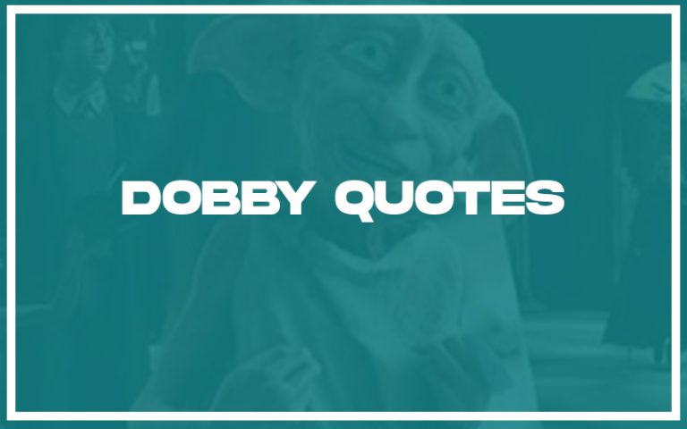 113+ Top Dobby Quotes (with Commentary) - Burning For Success