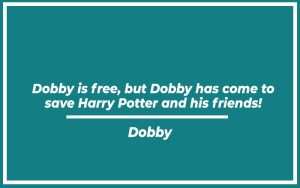 113+ Top Dobby Quotes (with Commentary) - Burning For Success