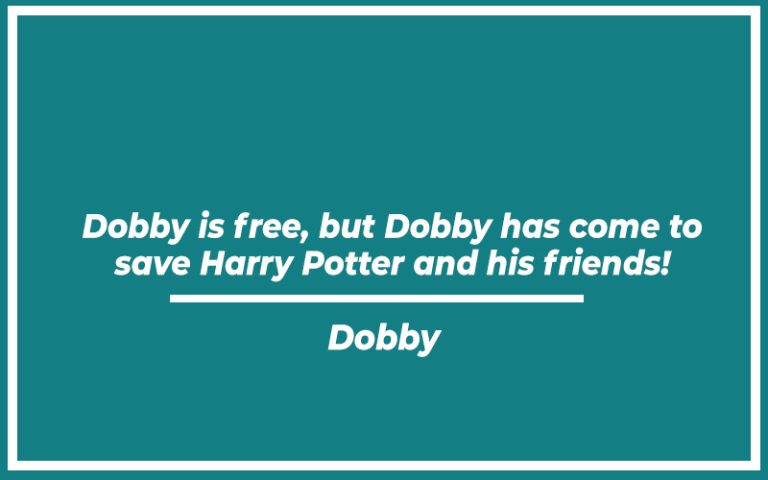 113+ Top Dobby Quotes (with Commentary) - Burning For Success
