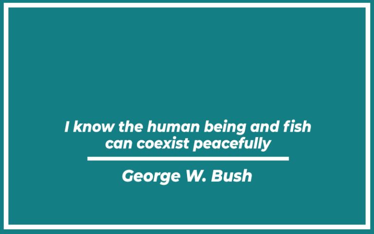 115 Best Cringe Quotes (with Commentary) - Burning For Success