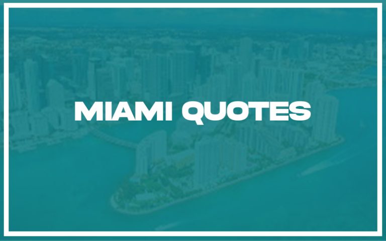 113 Best Miami Quotes (with Commentary) - Burning For Success