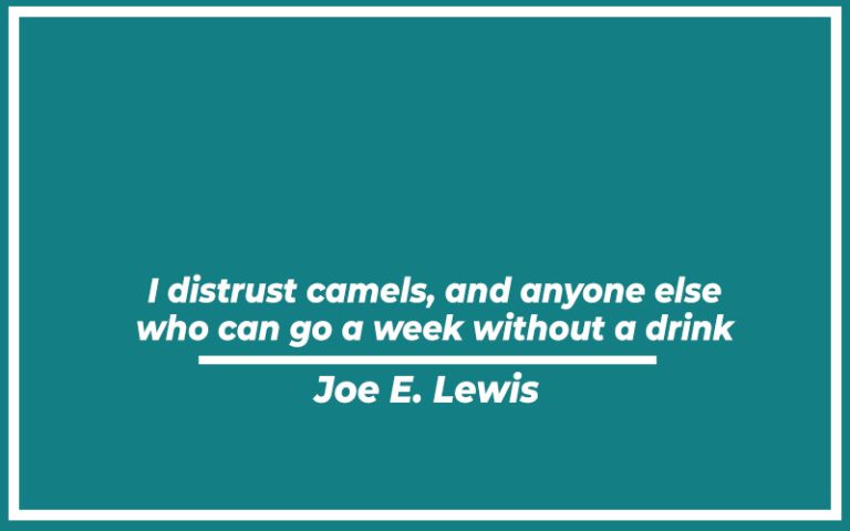 113 Best Bar Funny Quotes (with Commentary) - Burning For Success