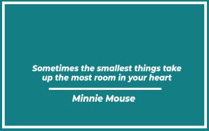 113 Best Minnie Mouse Quotes (with Commentary) - Burning For Success