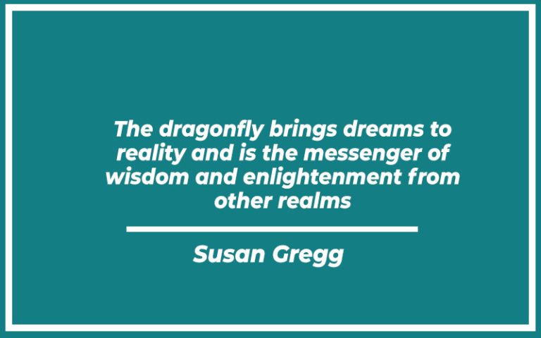 113 Best Dragonfly Quotes (with Commentary) - Burning For Success