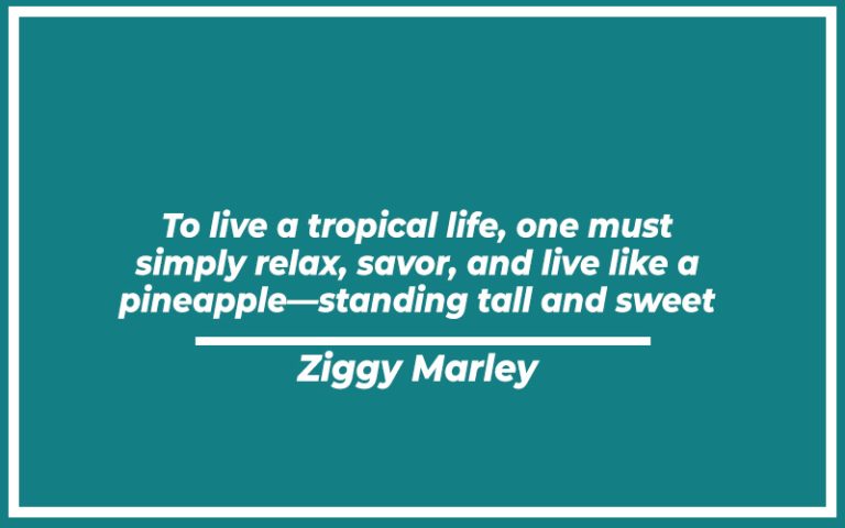 113 Best Pineapple Quotes (with Commentary) - Burning For Success