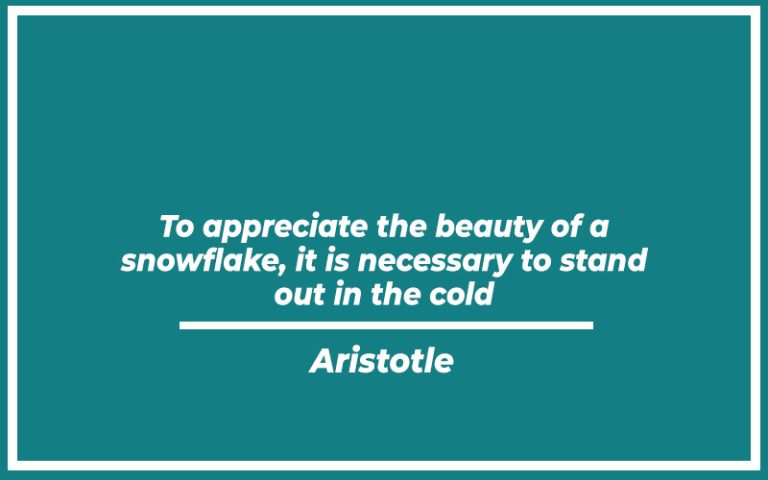 113 Best Snowflake Quotes (with Commentary) - Burning For Success