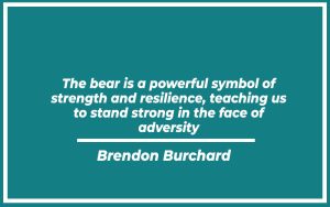 113 Best Bear Quotes (with Commentary) - Burning For Success