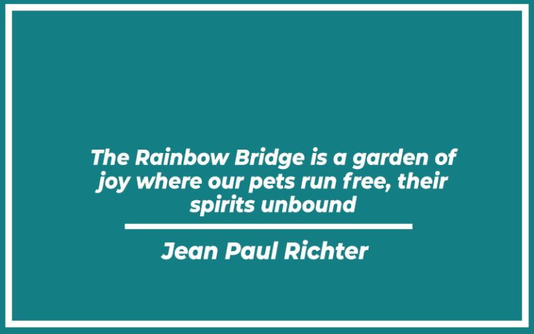 113 Best Dog Rainbow Bridge Quotes (with Commentary) - Burning For Success