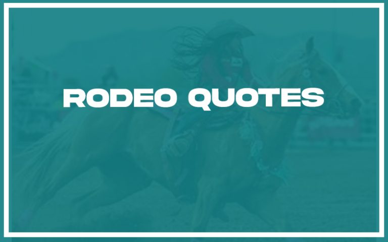 115 Best Rodeo Quotes (with Commentary) - Burning For Success