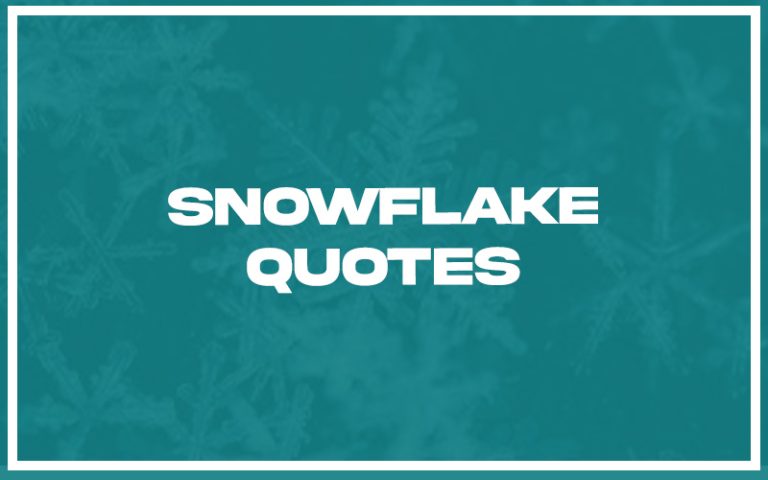 113 Best Snowflake Quotes (with Commentary) - Burning For Success