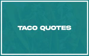 115 Best Taco Quotes (with Commentary) - Burning For Success