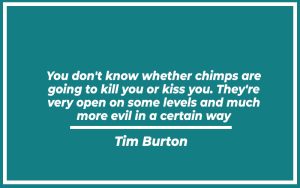 113 Best Tim Burton Quotes (with Commentary) - Burning For Success