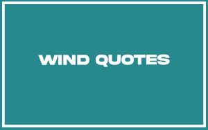 114 Best Wind Quotes (with Commentary) - Burning For Success