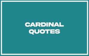 113 Best Cardinal Quotes (with Commentary) - Burning For Success