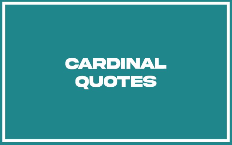 113 Best Cardinal Quotes (with Commentary) - Burning For Success