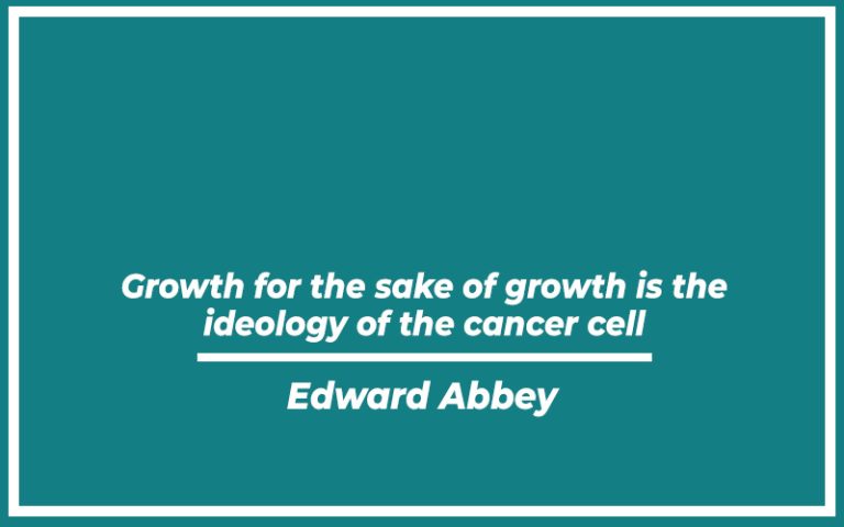 115 Best Edward Abbey Quotes (with Commentary) - Burning For Success