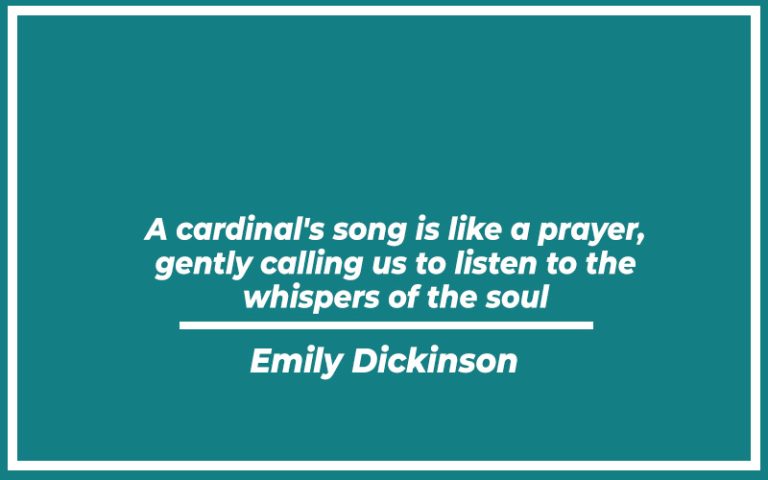 113 Best Cardinal Quotes (with Commentary) - Burning For Success