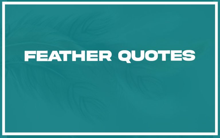 115 Best Feather Quotes (with Commentary) - Burning For Success