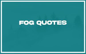 113 Best Fog Quotes (with Commentary) - Burning For Success