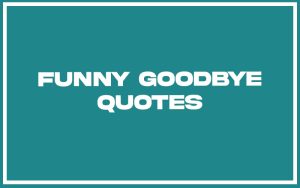 113+ Best Funny Goodbye Quotes (with Commentary) - Burning For Success