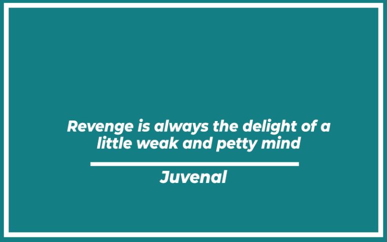 115 Best Petty People Quotes (with Commentary) - Burning For Success