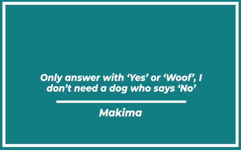 115 Best Makima Quotes (with Commentary) - Burning For Success