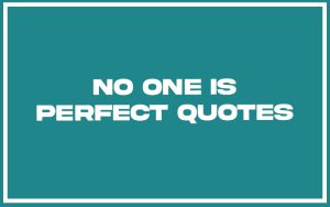115 Best No One Is Perfect Quotes (with Commentary) - Burning For Success