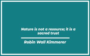 113 Best Braiding Sweetgrass Quotes (with Commentary) - Burning For Success