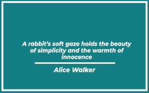 115 Best Bunny Quotes (with Commentary) - Burning For Success