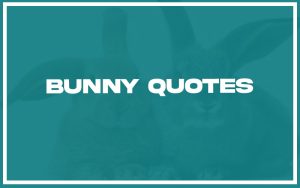 115 Best Bunny Quotes (with Commentary) - Burning For Success