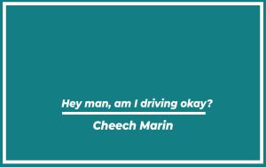 113 Best Cheech and Chong Quotes (with Commentary) - Burning For Success