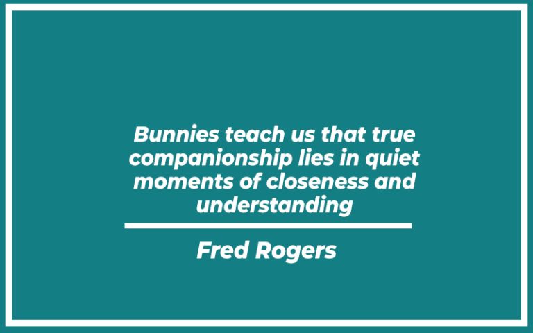 115 Best Bunny Quotes (with Commentary) - Burning For Success
