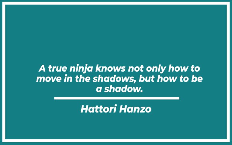 115 Best Ninja Quotes (with Commentary) - Burning For Success