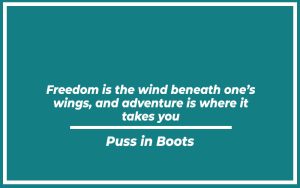 113 Best Puss in Boots Quotes (with Commentary) - Burning For Success