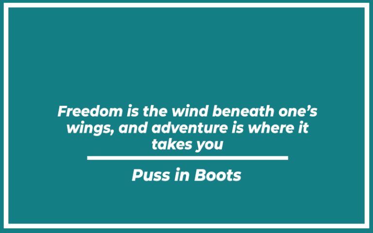 113 Best Puss in Boots Quotes (with Commentary) - Burning For Success