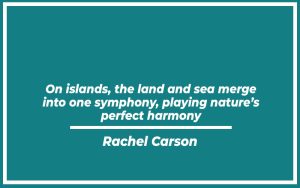 115 Best Island Quotes (with Commentary) - Burning For Success