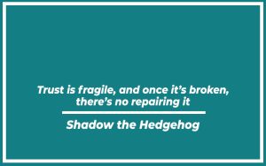 113 Best Shadow the Hedgehog Quotes (with Commentary) - Burning For Success