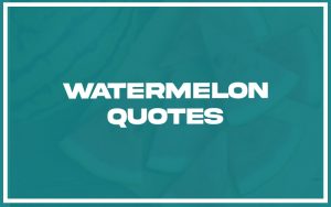 115 Best Watermelon Quotes (with Commentary) - Burning For Success