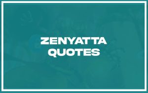 113 Best Zenyatta Quotes (with Commentary) - Burning For Success