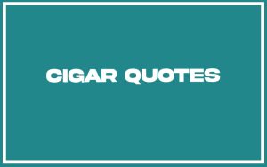 151 Best Cigar Quotes (with Commentary) - Burning For Success