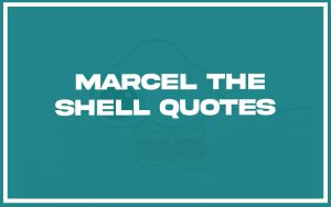 115 Best Marcel the Shell Quotes (with Commentary) - Burning For Success