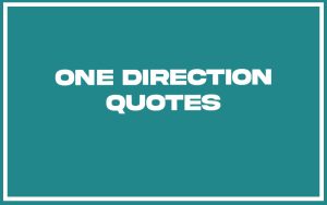131 Best One Direction Quotes (with Commentary) - Burning For Success