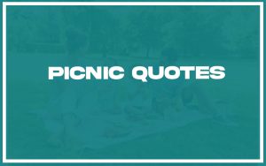 115 Best Picnic Quotes (with Related Verses) - Burning For Success
