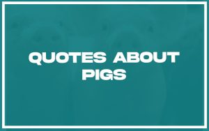 131 Best Quotes About Pigs (with Explanation) - Burning For Success