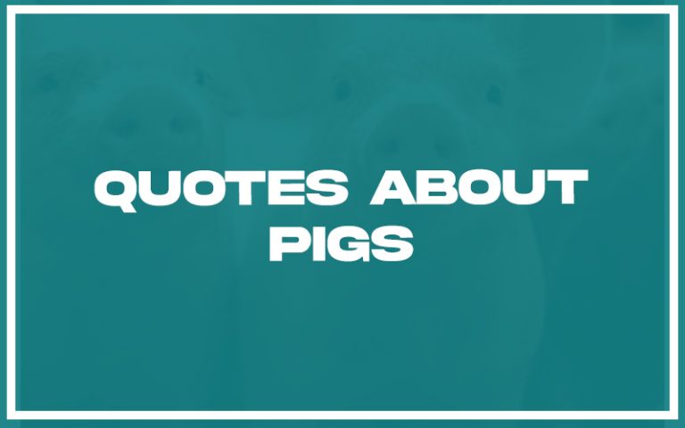 131 Best Quotes About Pigs (with Explanation) - Burning For Success