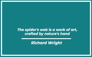 151 Best Spider Quotes (with Commentary) - Burning For Success