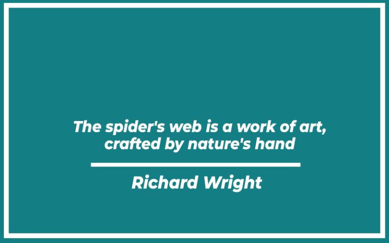 151 Best Spider Quotes (with Commentary) - Burning For Success