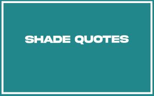 131 Best Shade Quotes (with Commentary) - Burning For Success